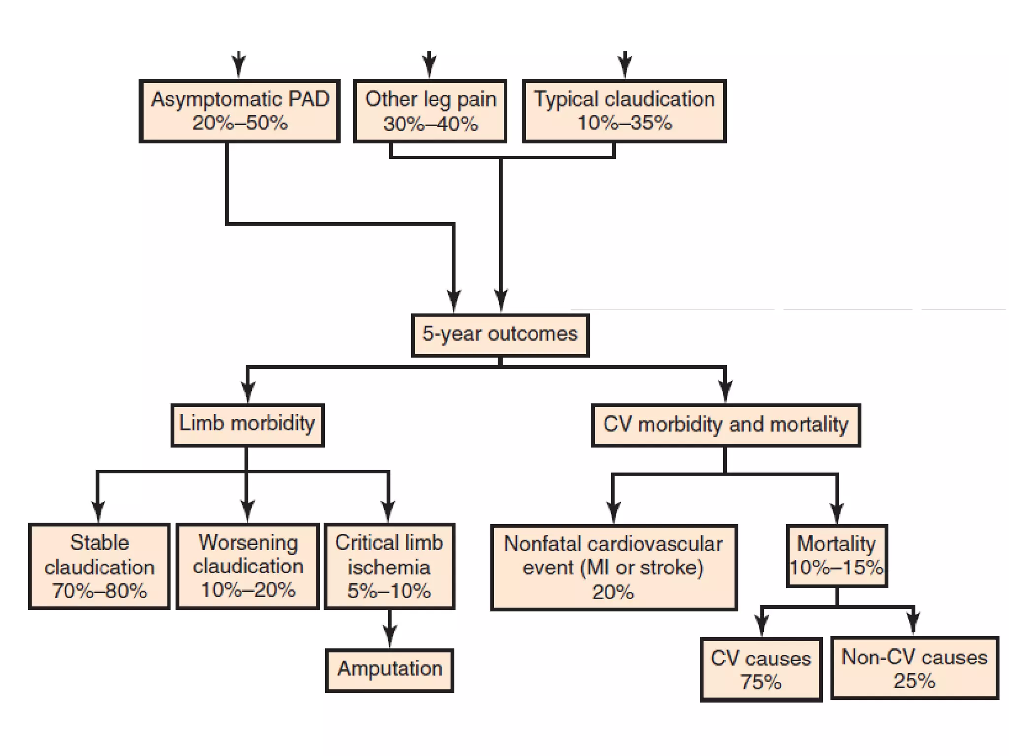 Topic of Vascular Claudication | PDF