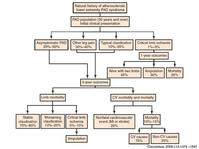 Topic of Vascular Claudication | PDF