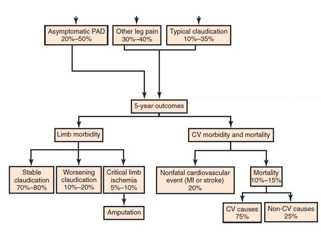 Topic of Vascular Claudication | PDF