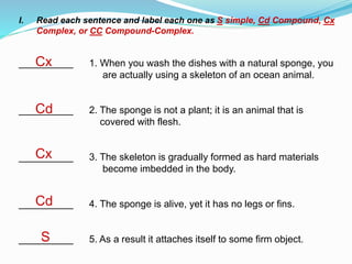 Clauses and sentences | PPTX