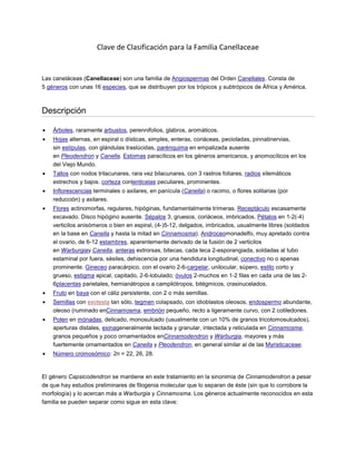 Clave de clasificación para la familia canellaceae | PDF