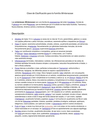 Clave de clasificación para la familia winteraceae | PDF