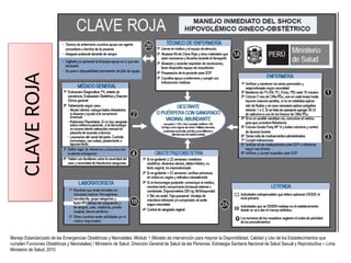 CLAVES OBSTÉTRICAS OFICIAL - OBSTETRICIA 2025 | PPTX