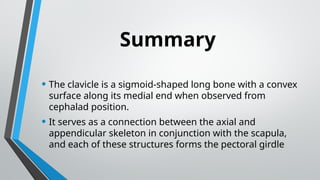 CLAVICAL BONE ANATOMY .pptx BY PRACHI SABLE | PPTX