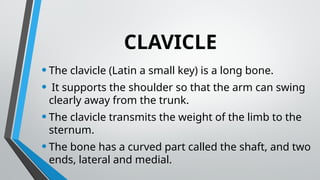 CLAVICAL BONE ANATOMY .pptx BY PRACHI SABLE | PPTX