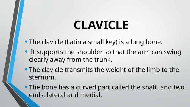 CLAVICAL BONE ANATOMY .pptx BY PRACHI SABLE | PPTX
