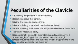 CLAVICAL BONE ANATOMY .pptx BY PRACHI SABLE | PPTX