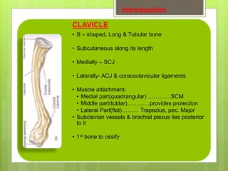 Clavicle Fracture | PPTX