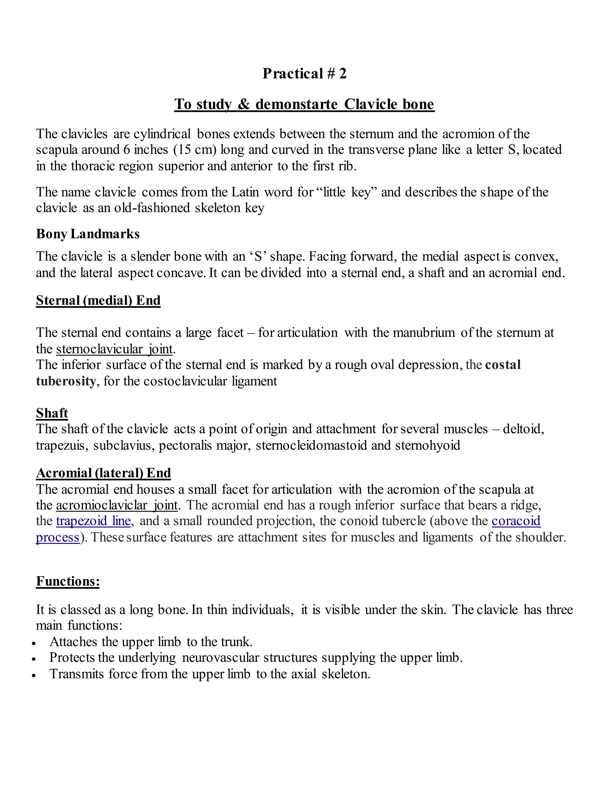 Clavicle | DOCX