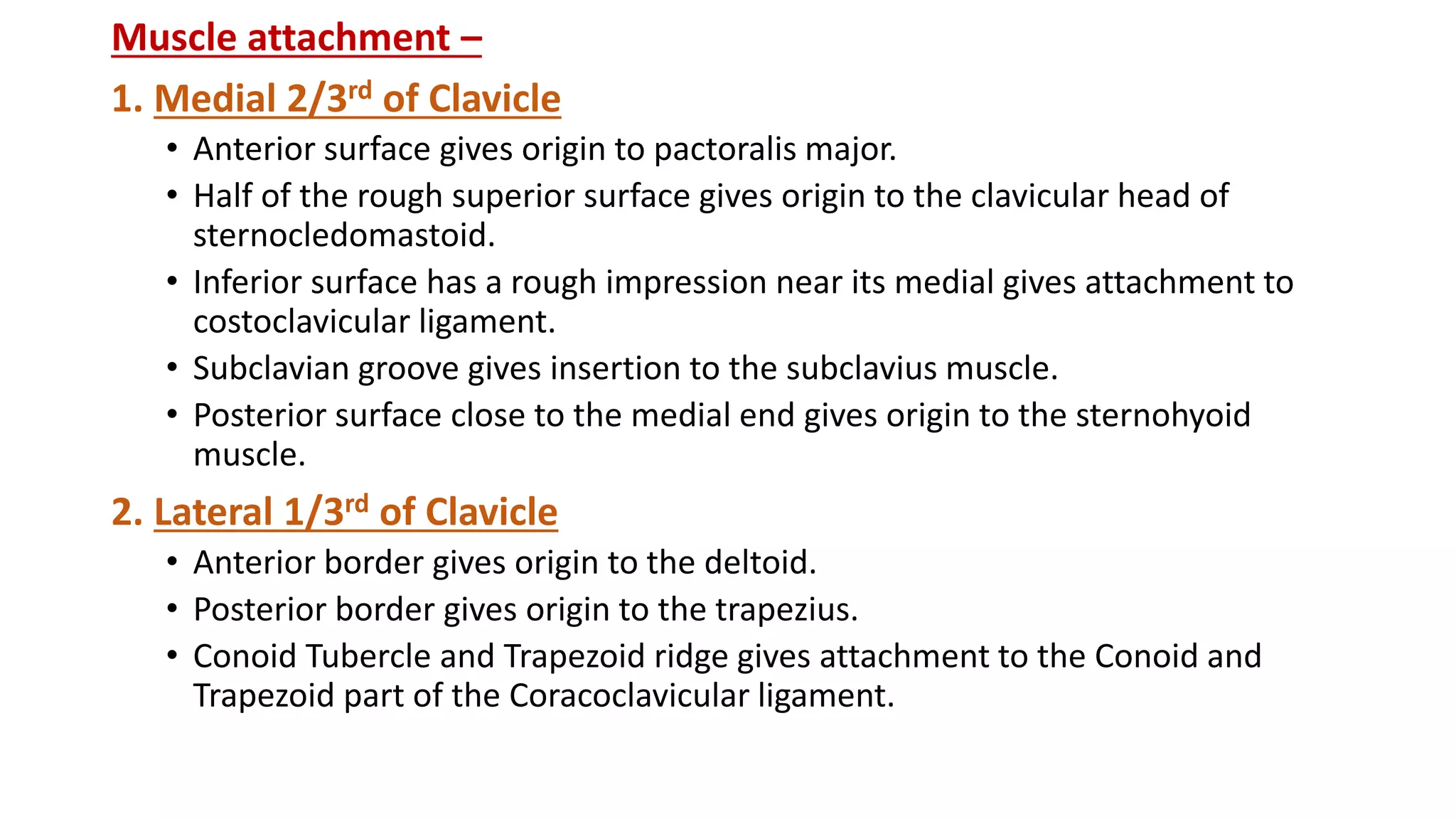 Clavicle bone Anatomy | PPTX