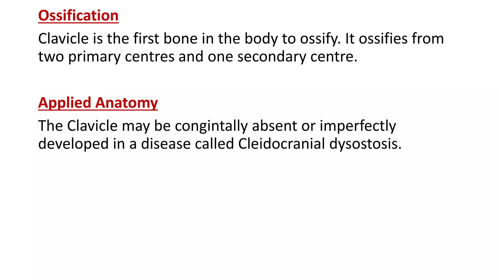 Clavicle bone Anatomy | PPTX