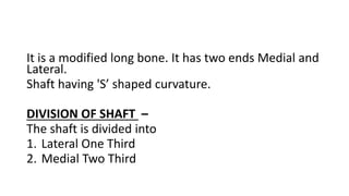Clavicle bone Anatomy | PPTX