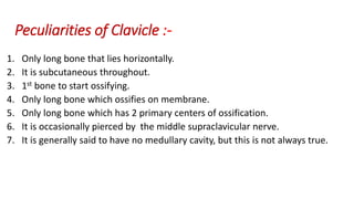 Clavicle bone Anatomy | PPTX