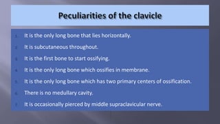 Clavicle | PPTX