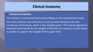 Clavicle | PPTX