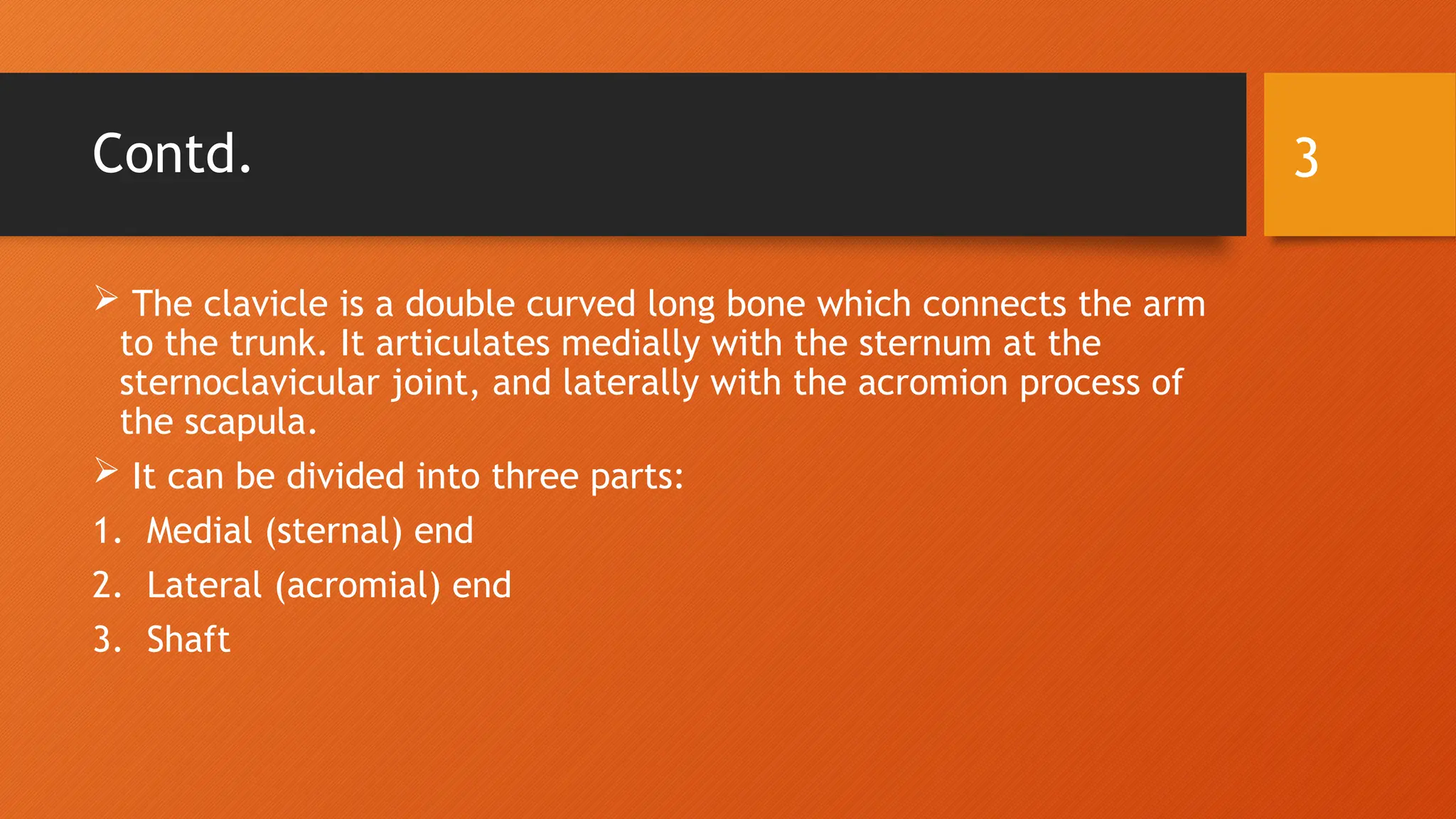 Anatomy of the Clavicle: Structure, Articulations & Muscle Attachments ...