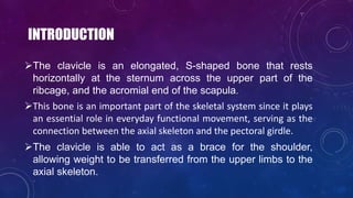 Clavicle Anatomy and its Articulation - ANAND GURMAITA (BSc. RADIOLOGY ...