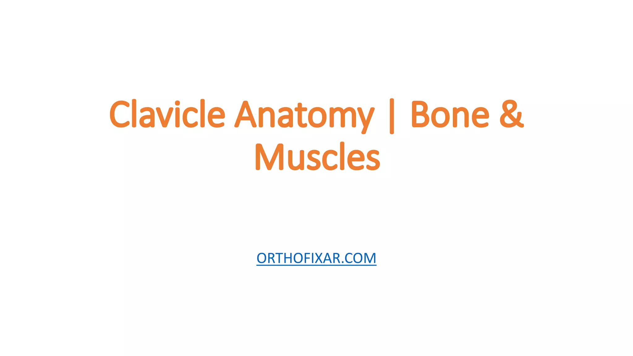 clavicle Anatomy.pptx