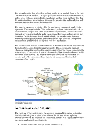 Clavicle anatomy.pdf