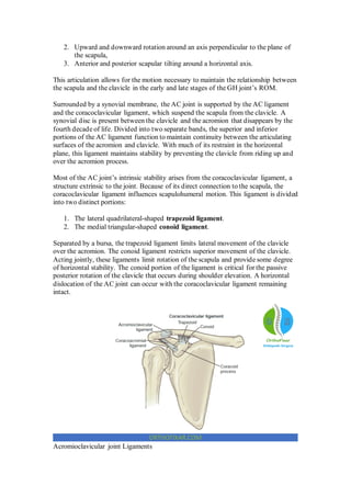 Clavicle anatomy.pdf