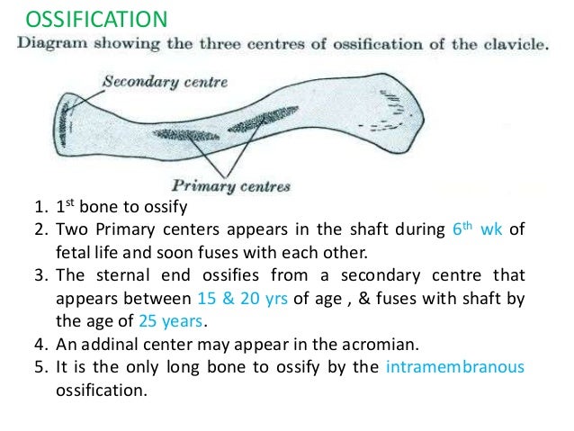 Clavicle fracture
