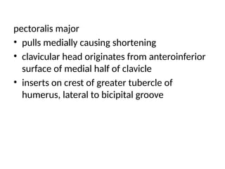 Clavicle Fracture cause management and treatment.pptx