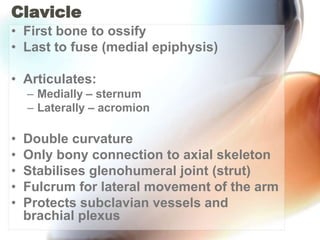 Clavicle Fractures & ACJ Injuries | PPTX