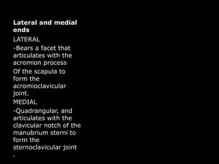 CLAVICLE PPT.pptx Presentation on clavicle | PPTX