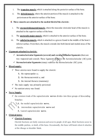 anatomy of clavicle | DOCX