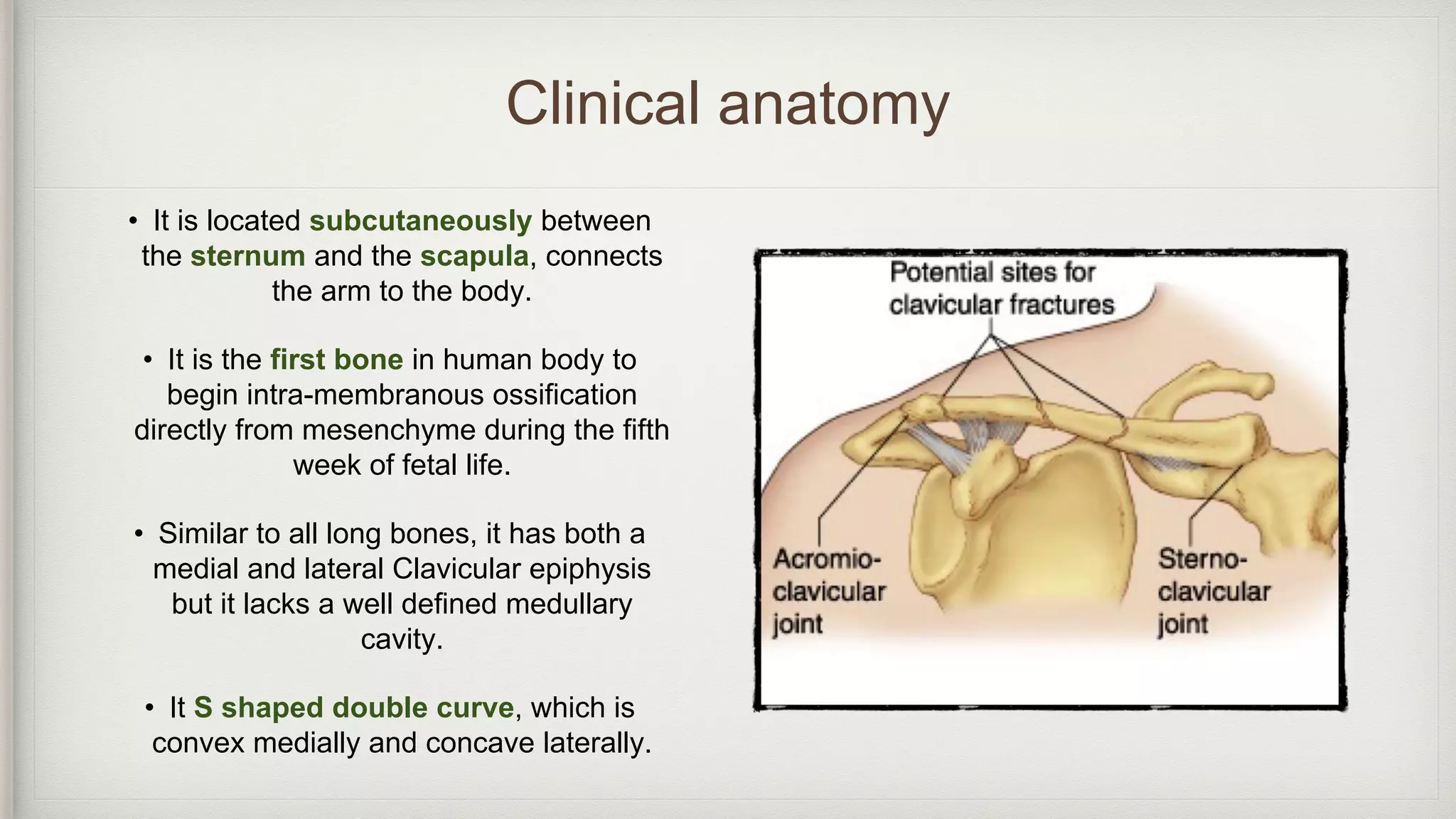 Clavicular fracture .pptx