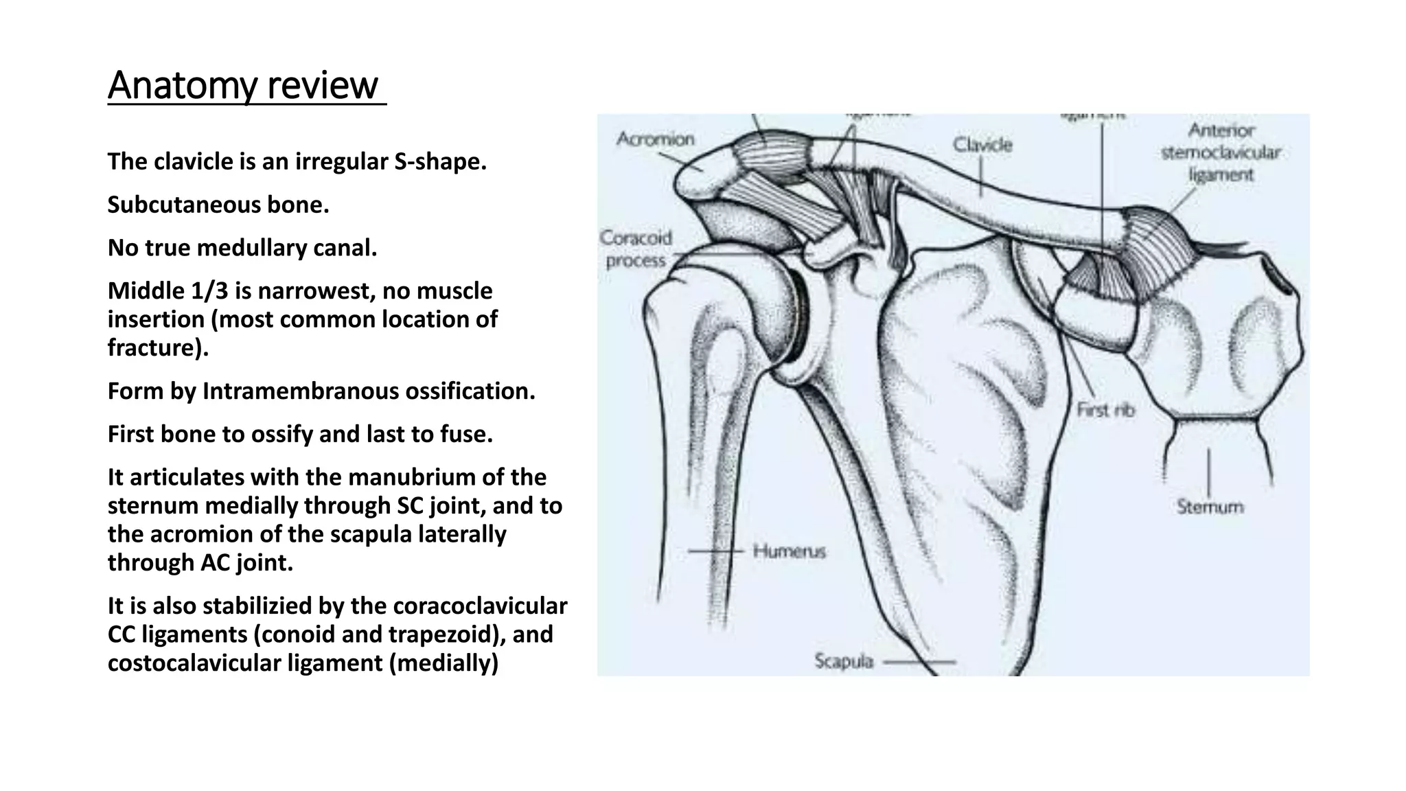 Clavicular fracture & acj injury | PPTX