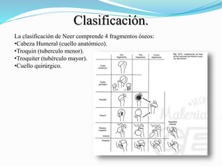 Clavicula y Hombro.pptx