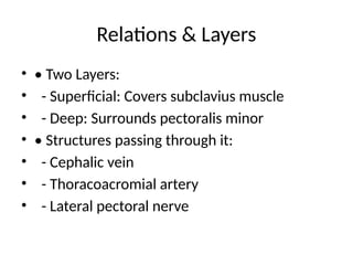 Clavipectoral_Fascia_ Presentation.pptx