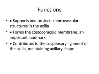 Clavipectoral_Fascia_ Presentation.pptx