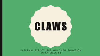 Claws | PPTX