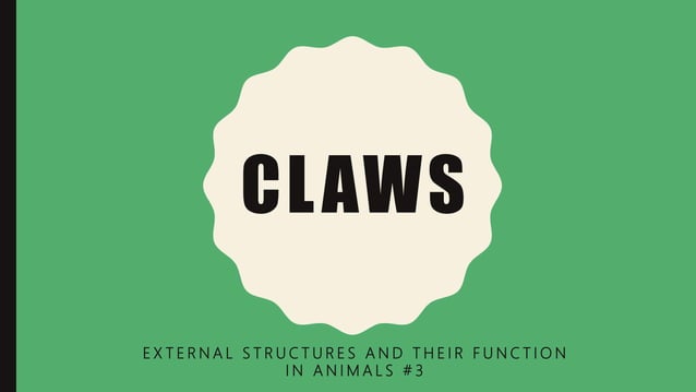 Claws | PPT