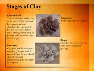 Clay | PPT