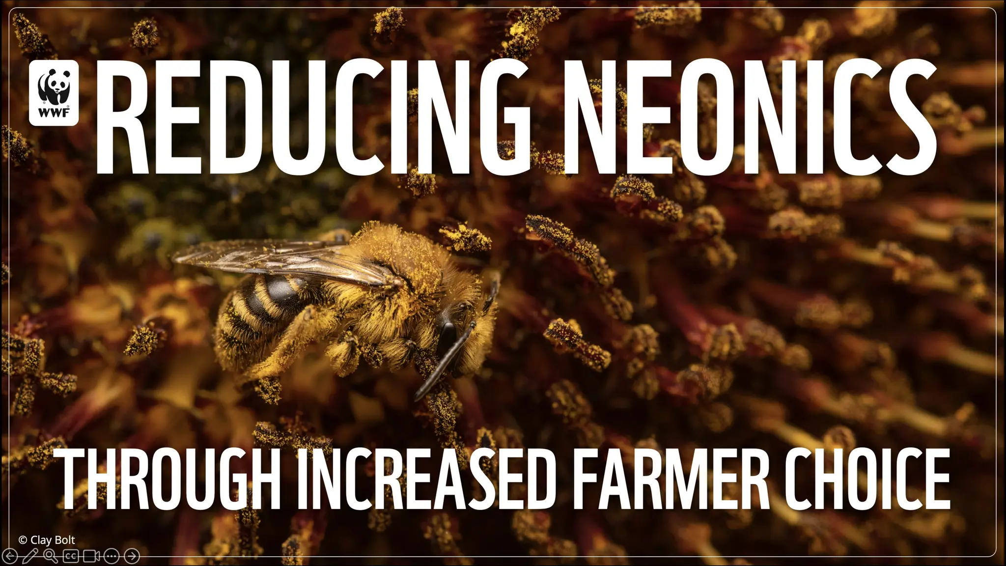 Reducing Neonics Through Increased Farmer Choice | PPTX