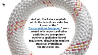 Reducing Neonics Through Increased Farmer Choice | PPTX