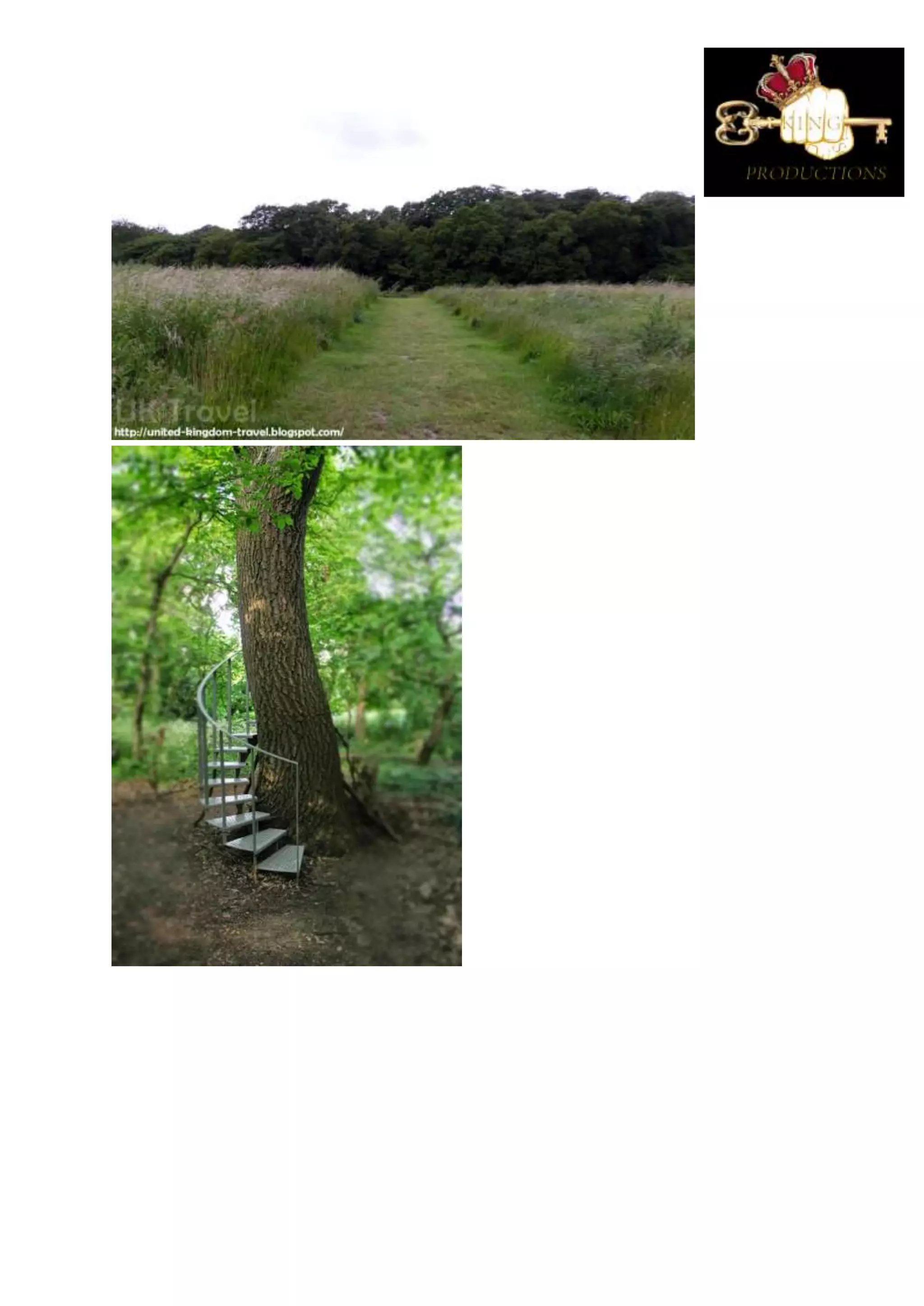 Claybury forest | DOCX