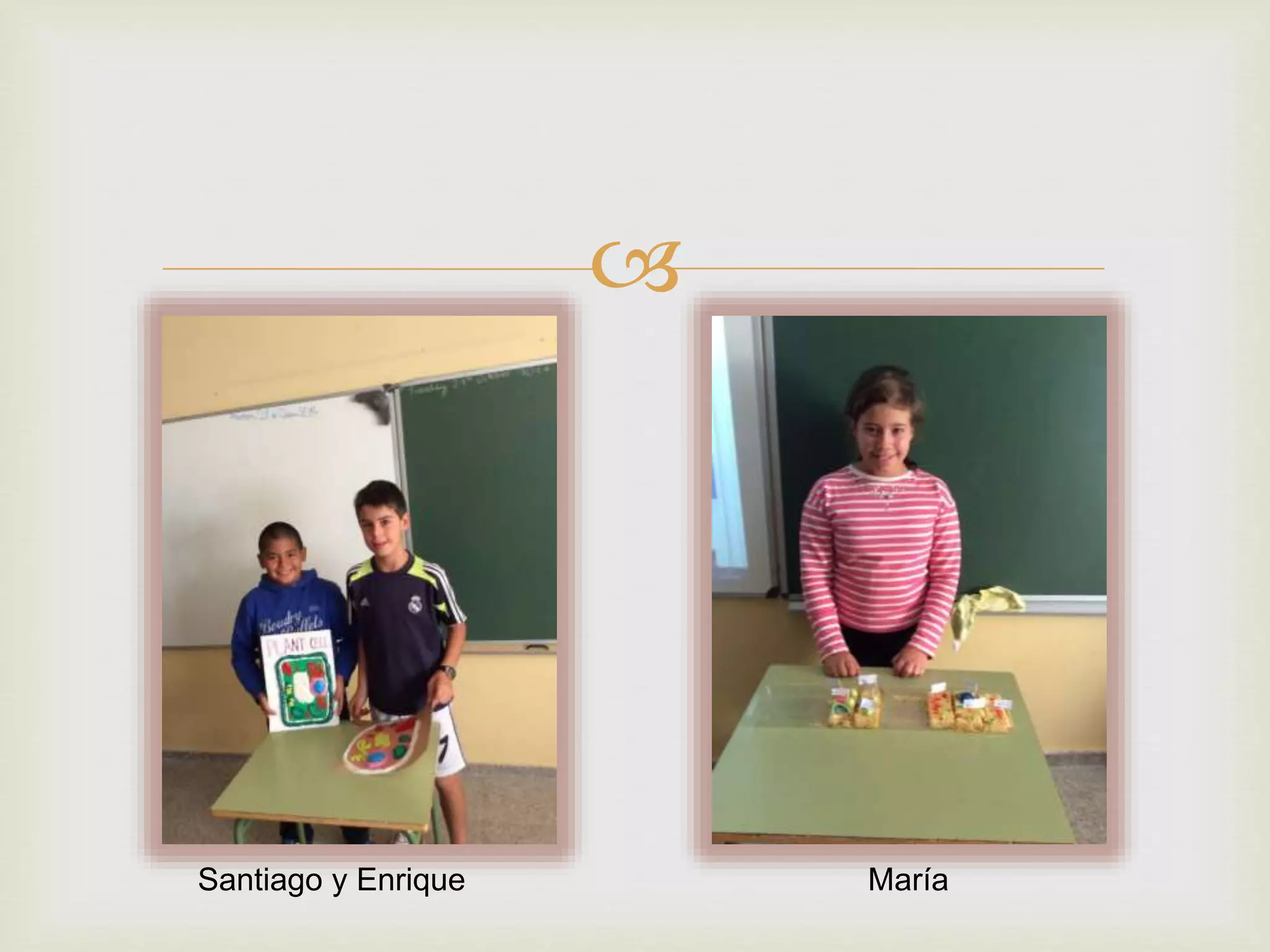 Clay cell models5 | PPTX