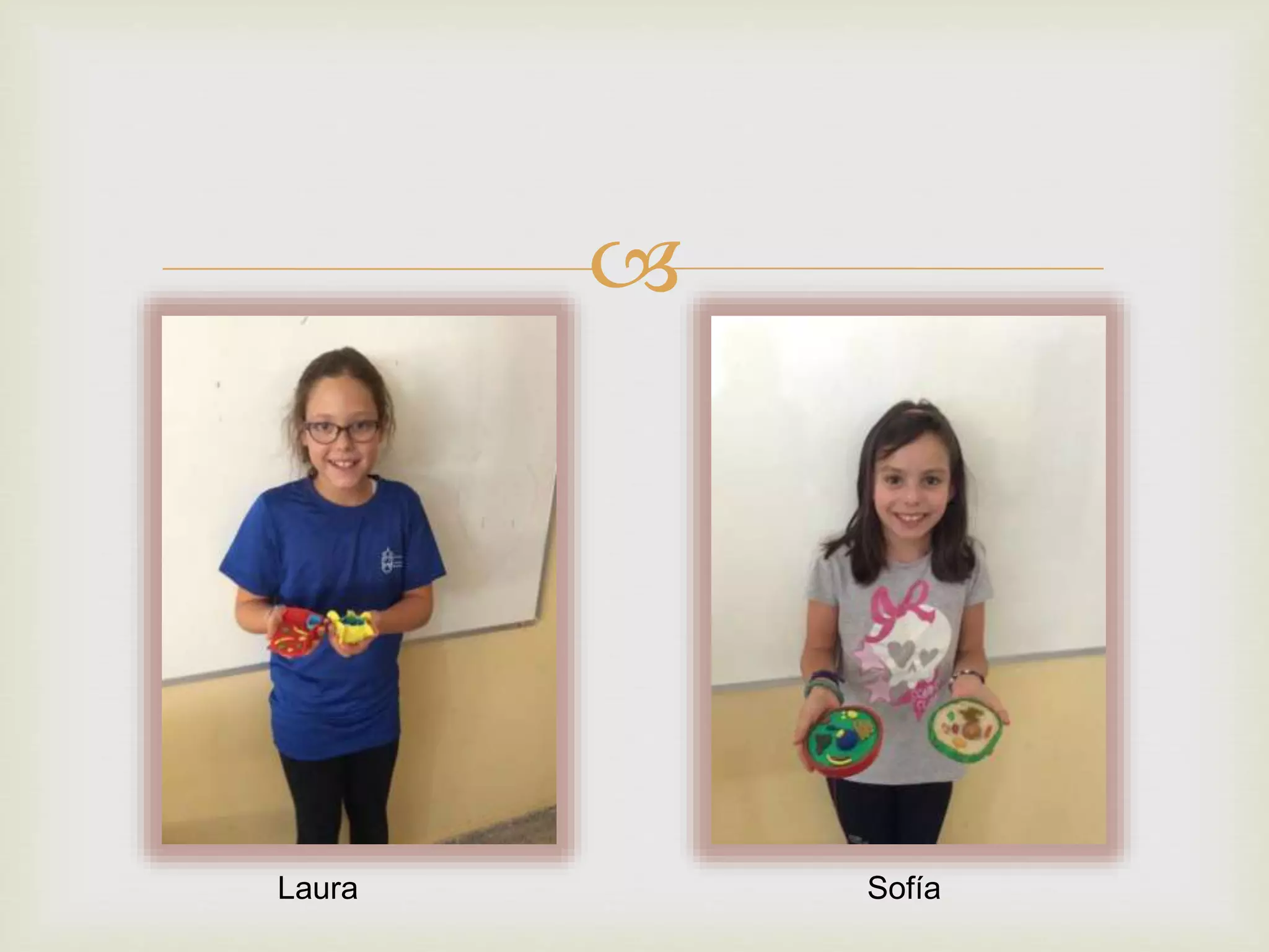Clay cell models5 | PPTX