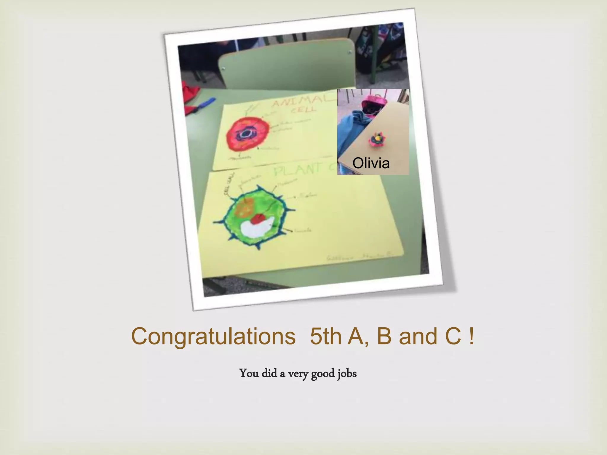 Clay cell models5 | PPT