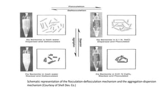 Clay chemistry.pdf