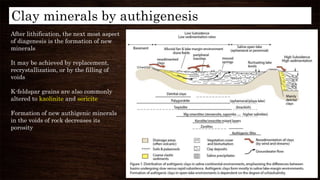 Diagenesis of clay minerals | PPTX | Geology | Science