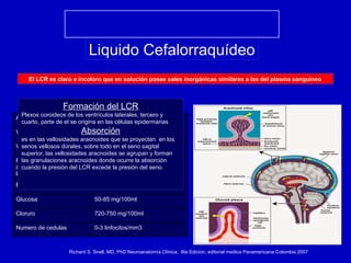clay medula espinal neuroanestesia 1.pptx