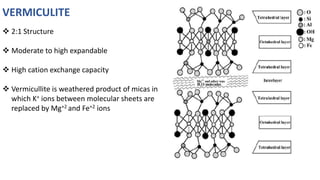 Vermiculite Structure