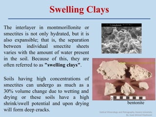 Clay Minerals.pptxeeeeeeeeeeeeeeeeeeeeeeeeee | PPTX