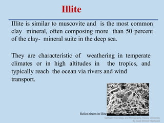 Clay Minerals.pptxeeeeeeeeeeeeeeeeeeeeeeeeee | PPTX