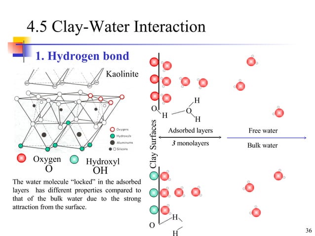 Clay Minerals And Soil Structure | PPT | Chemistry | Science
